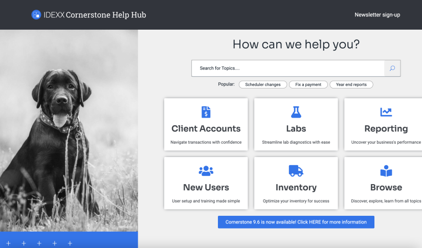 Introducing the Cornerstone Help Hub | IDEXX Software